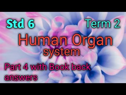 Human Organ System Book back answers / Unit 6/ class 6/ Term 2 science ...