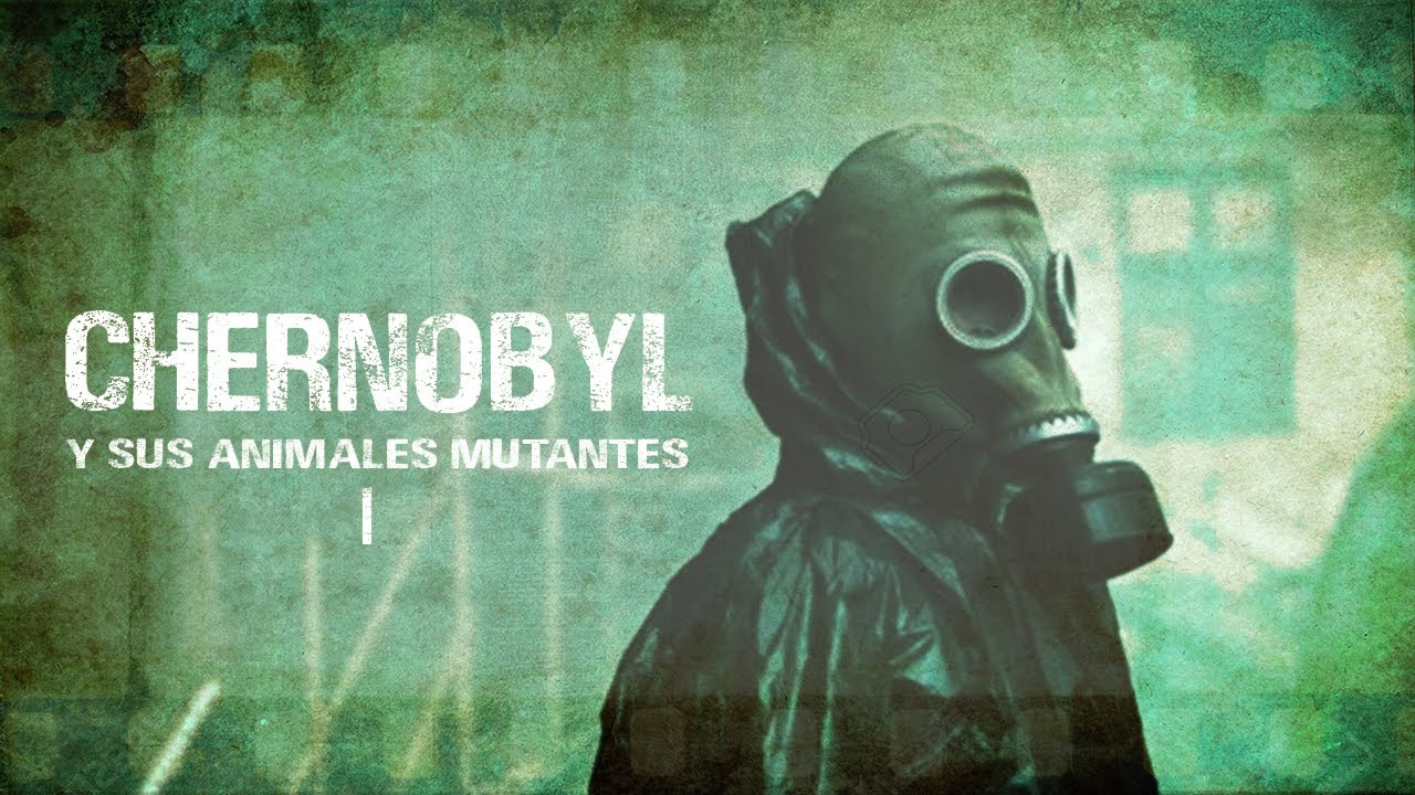 CHERNOBYL Y SUS ANIMALES MUTANTES PARTE 1/ PROYECTO.DOC - YouTube