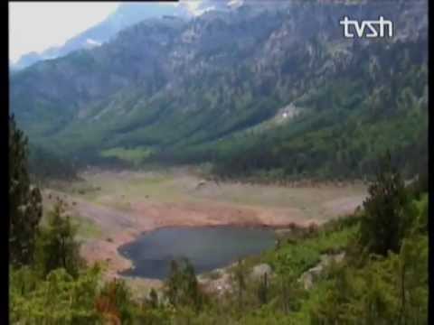 Historia e sotmja ne Plavë Guci - YouTube