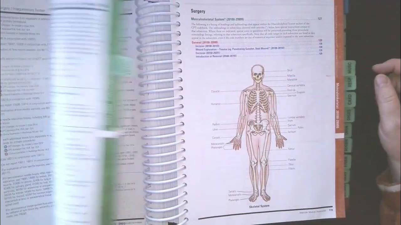 2024 CPT Code Book Tab Placements - YouTube