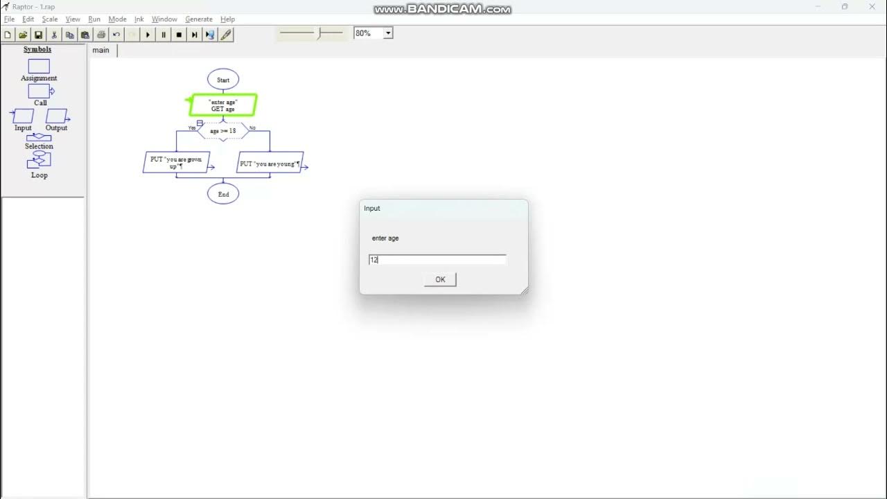 Raptor Flowchart - การใช้ selection EP.3 - YouTube