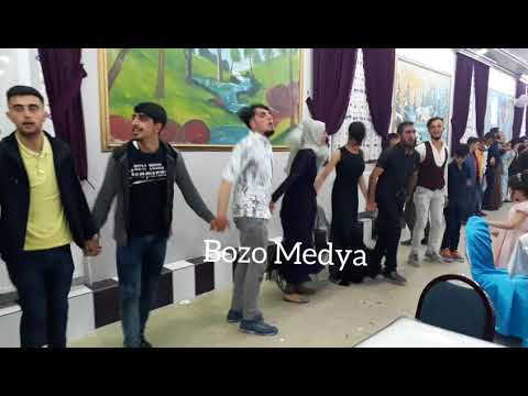 Ağrı Doğubeyazıt Düğünleri