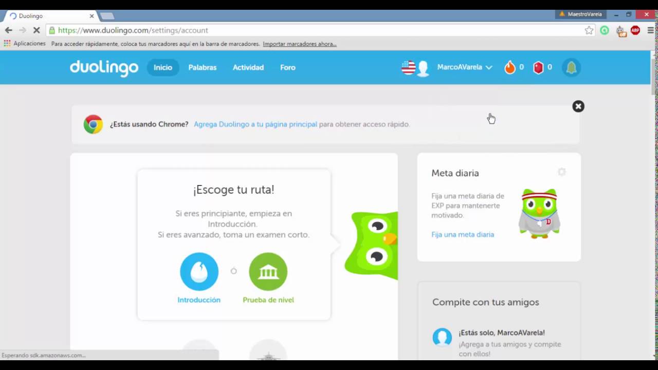 Configurar Duolingo - YouTube
