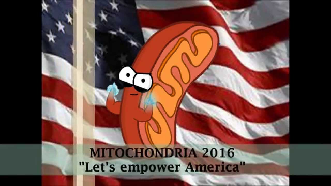 Mitochondria For President - YouTube