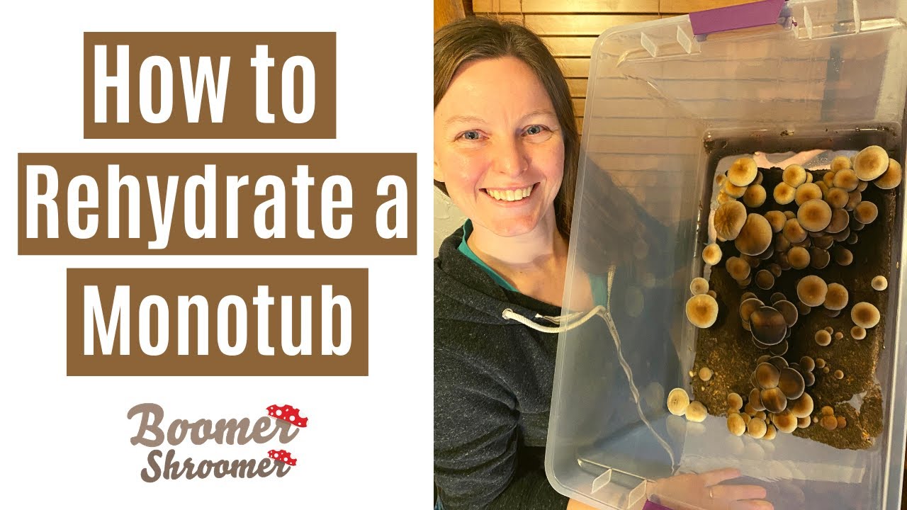 How to Rehydrate a Monotub - YouTube