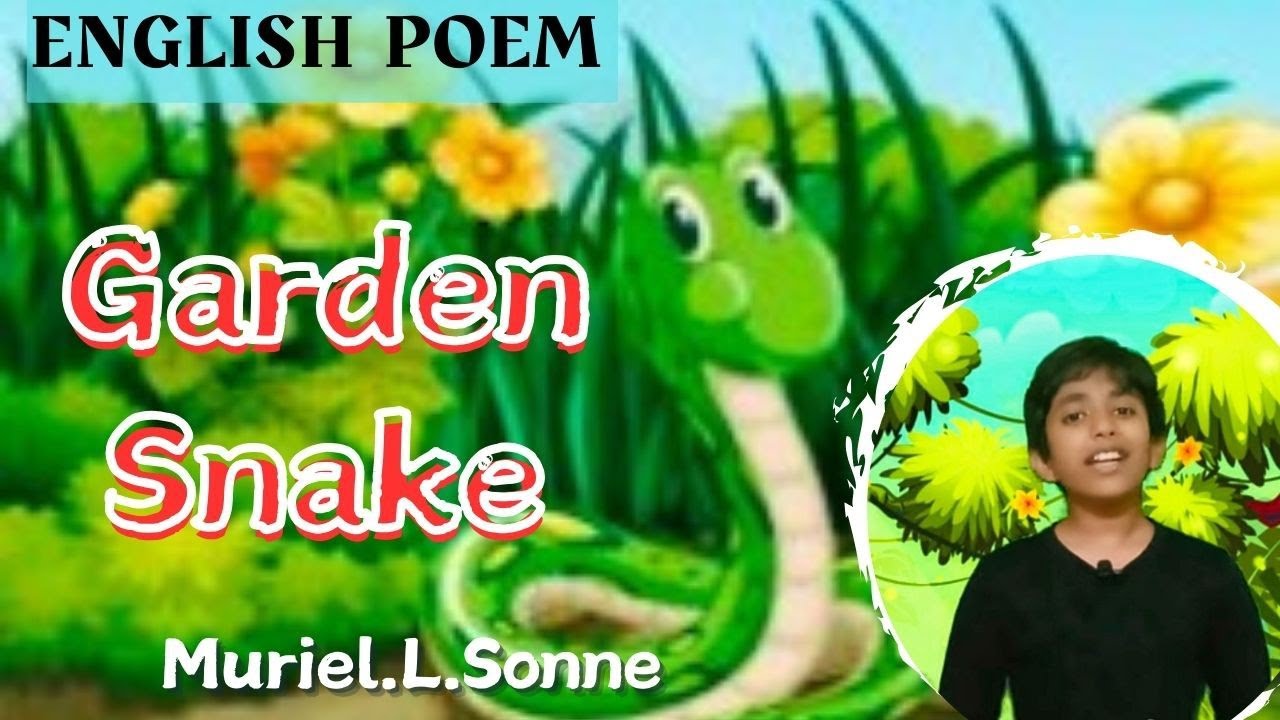 Garden Snake l English Poem l Recitation l School Poem l Muriel L Sonne ...