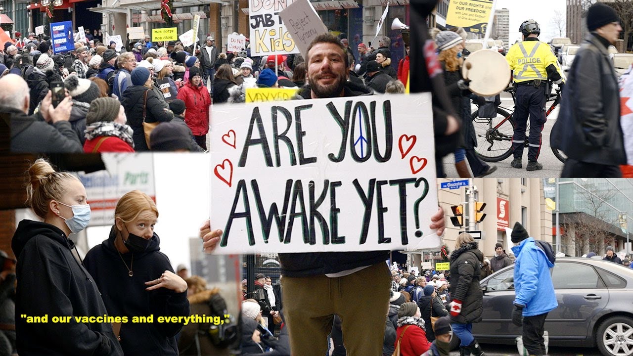 Scenes from the World Wide Rally For Freedom - Ottawa, Canada. November ...