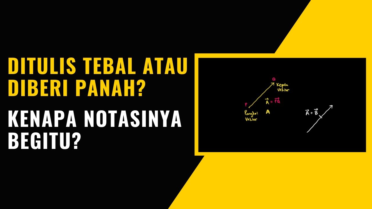 Pengenalan vektor || Apa itu Vektor? - YouTube