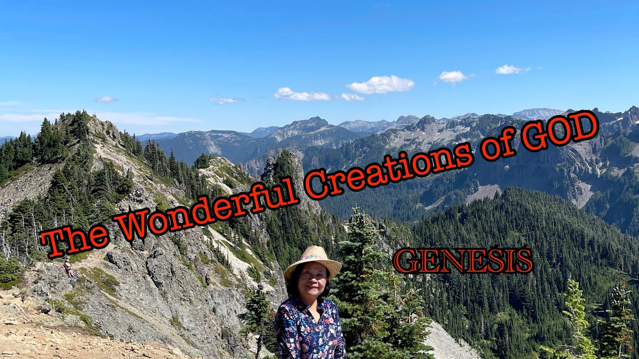 The Wonderful Creations of God: GENESIS - YouTube