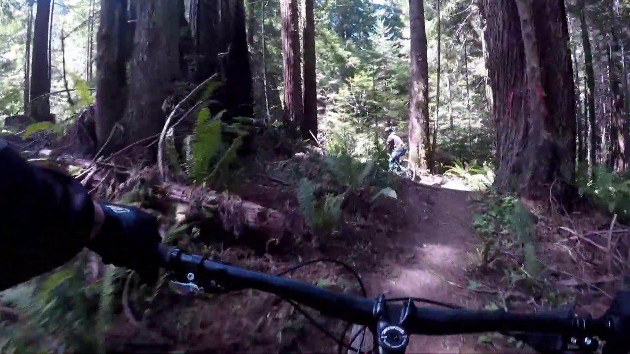 Mountain Biking in the Arcata Community Forest - YouTube