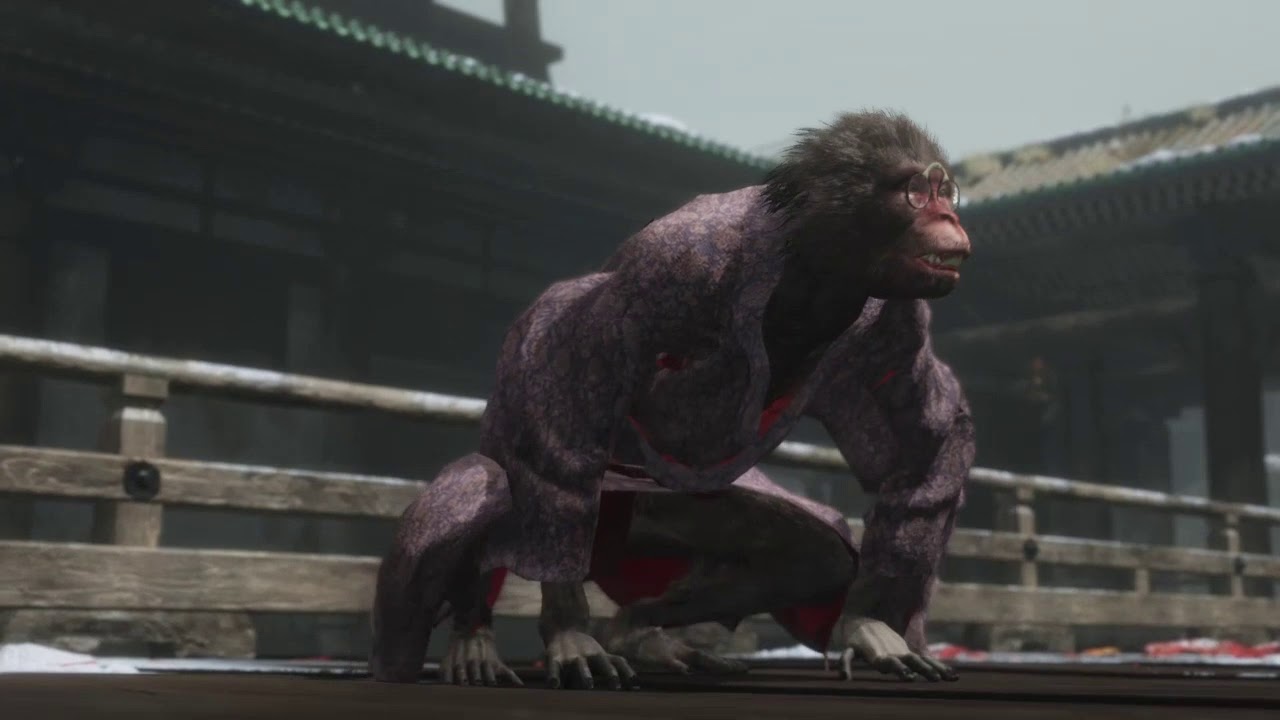 os macaco loko - YouTube