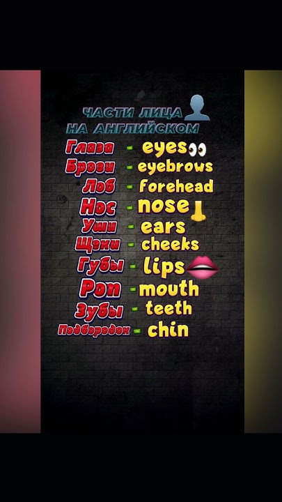 Части лица на английском Shorts English Englishvocabulary Youtube