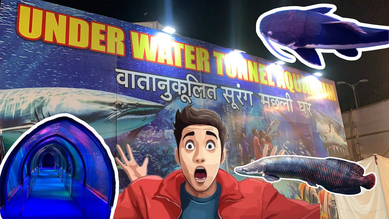 First Time Ever Under Water Tunnel Aquarium 😱 || #dakshinpurimela # ...