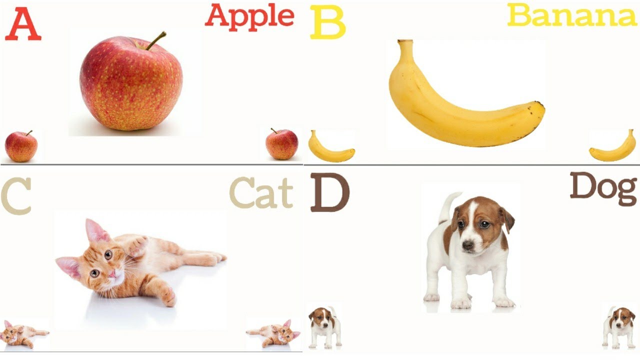 ABCD || ALPHABET SONG || CAPITAL ALPHABET SONG - YouTube