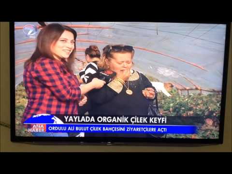 ÜMİT ŞENER ÇAMBAŞI ÇİLEK DÜNYASI KANAL 7