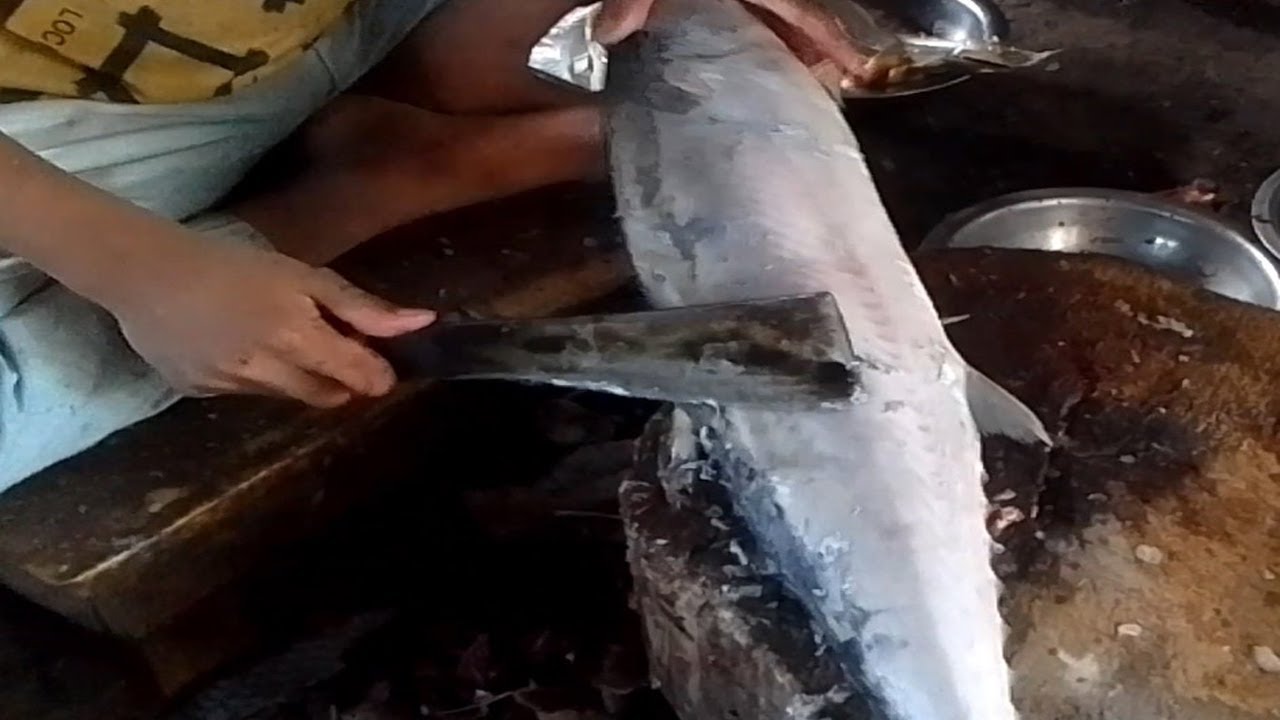 Amazing Sea Tuna Fish Cutting Skills In Bangladesh Local Fish Market ...