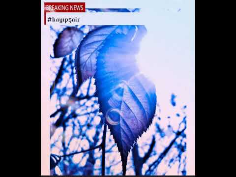 #Gel #ey #sevgili #kayıpşair