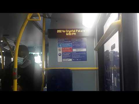 *[RARE + IBUS]* *"Route 202 to Crystal Palace Bus Station."* E219 ...