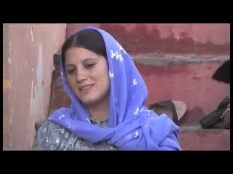 Stolen Harvest  Çalınmış Hasat