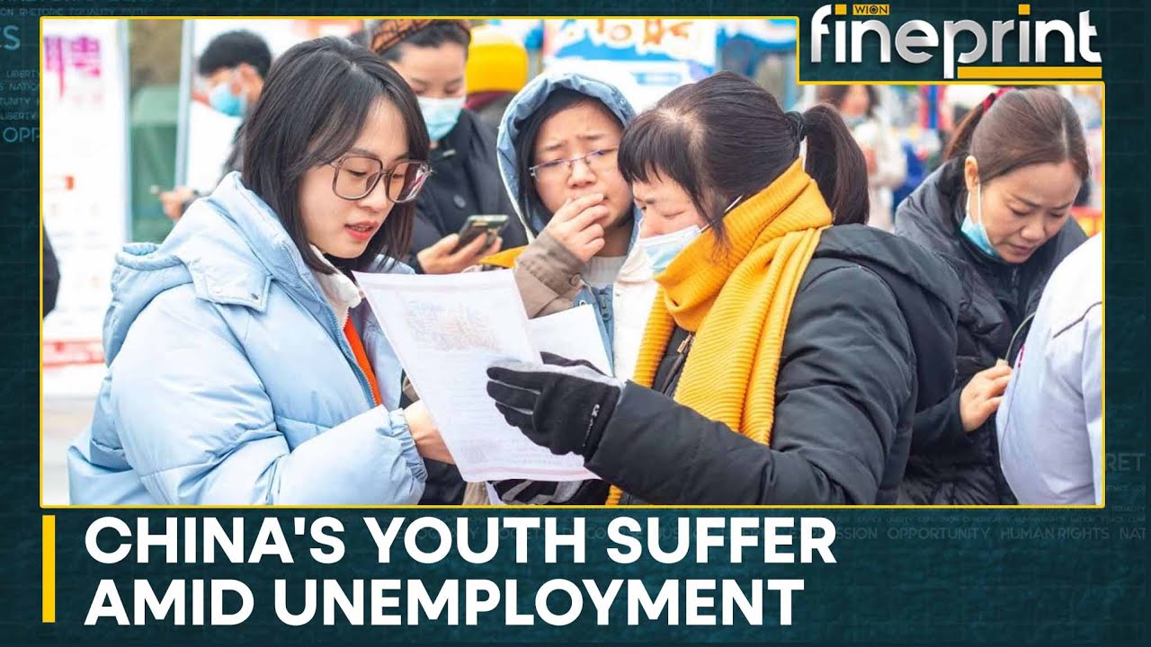 Record-level of youth unemployment as 11.6 million graduates jobless in ...