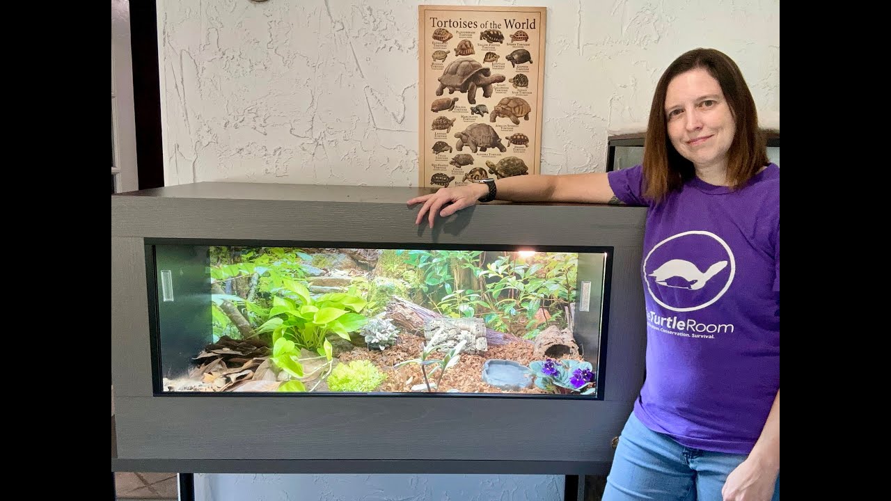 Tortoise Wendy's Toad Ranch cage review - YouTube
