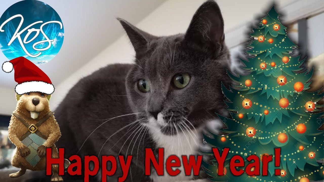 KatherineOfSky's New Year Message 2022 - YouTube