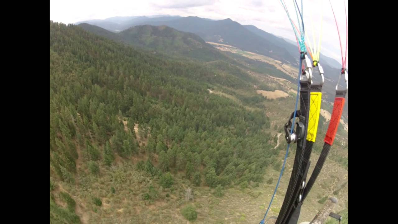 Wood Rat, Oregon - YouTube