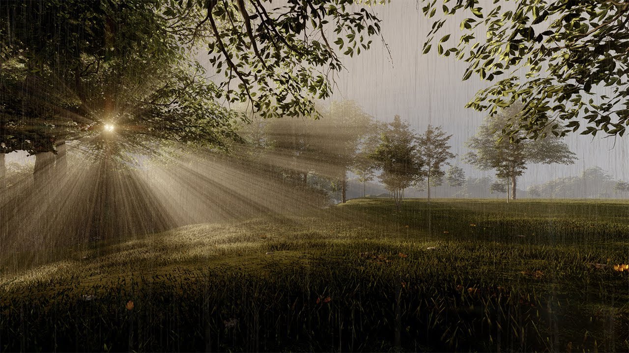 Enjoying Summer Evening Rain - Relaxing Heavy Rain Sound for Stress ...
