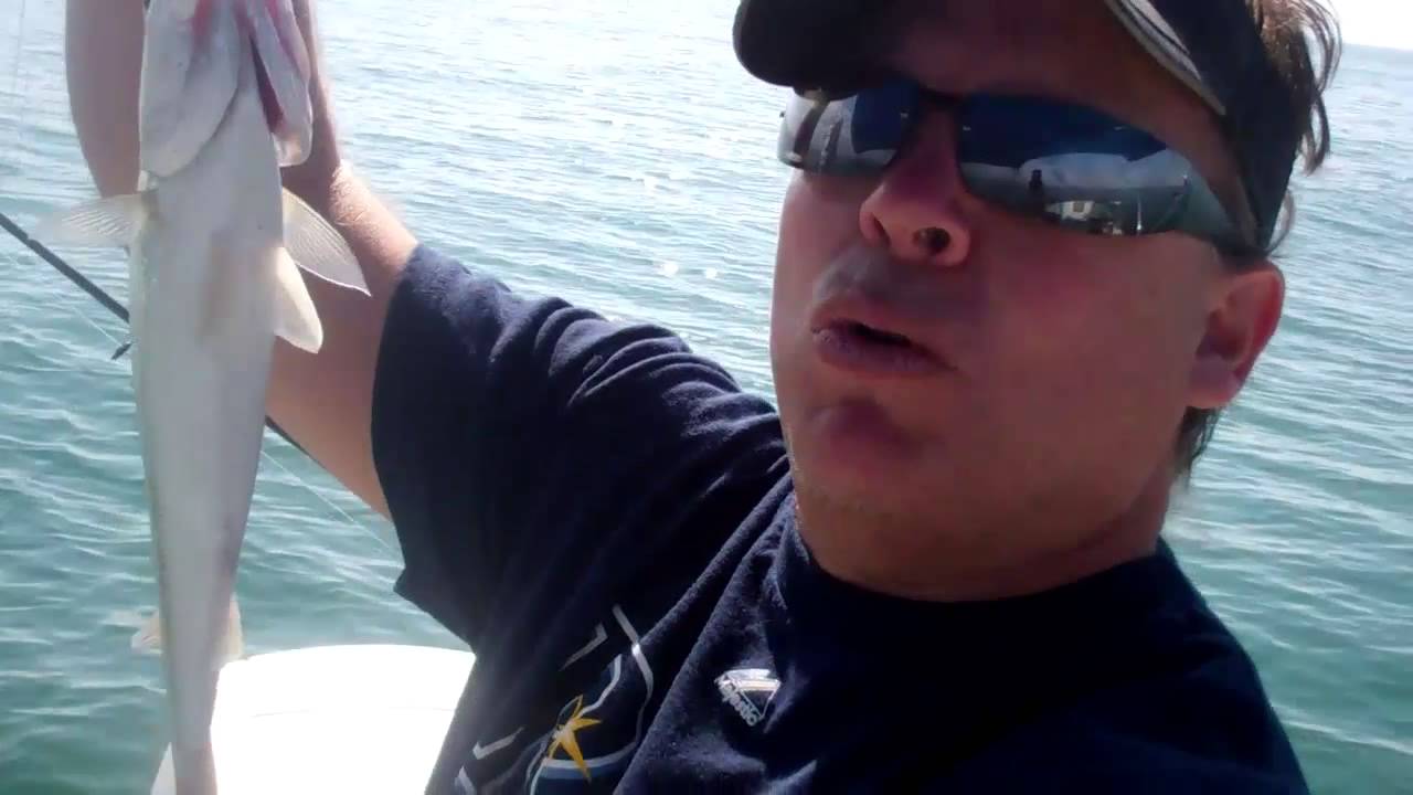 Video 38 - YouTube
