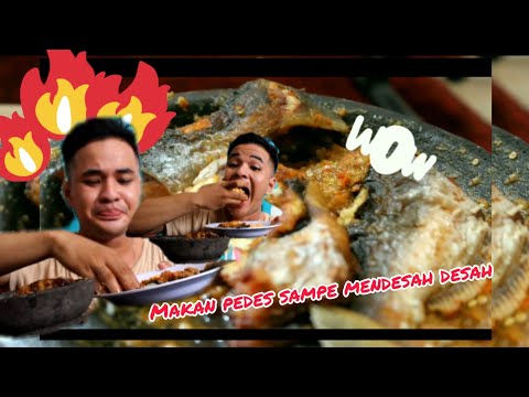 IKAN PATINNN Pedasss bikin mendesah desah 💦💦 😍😍 || resepnya ada di akhir video !!!