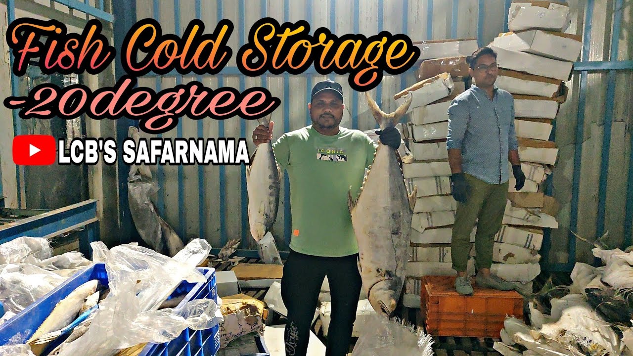 Veraval Fish | Fish Export | Fish cutting | Fish Cold Storage | Veraval ...