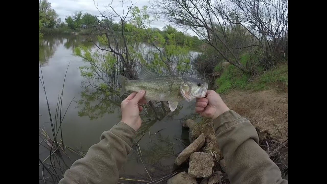 Crappie Fishing turned Bass Fishing #crappie #bass #outdoors - YouTube