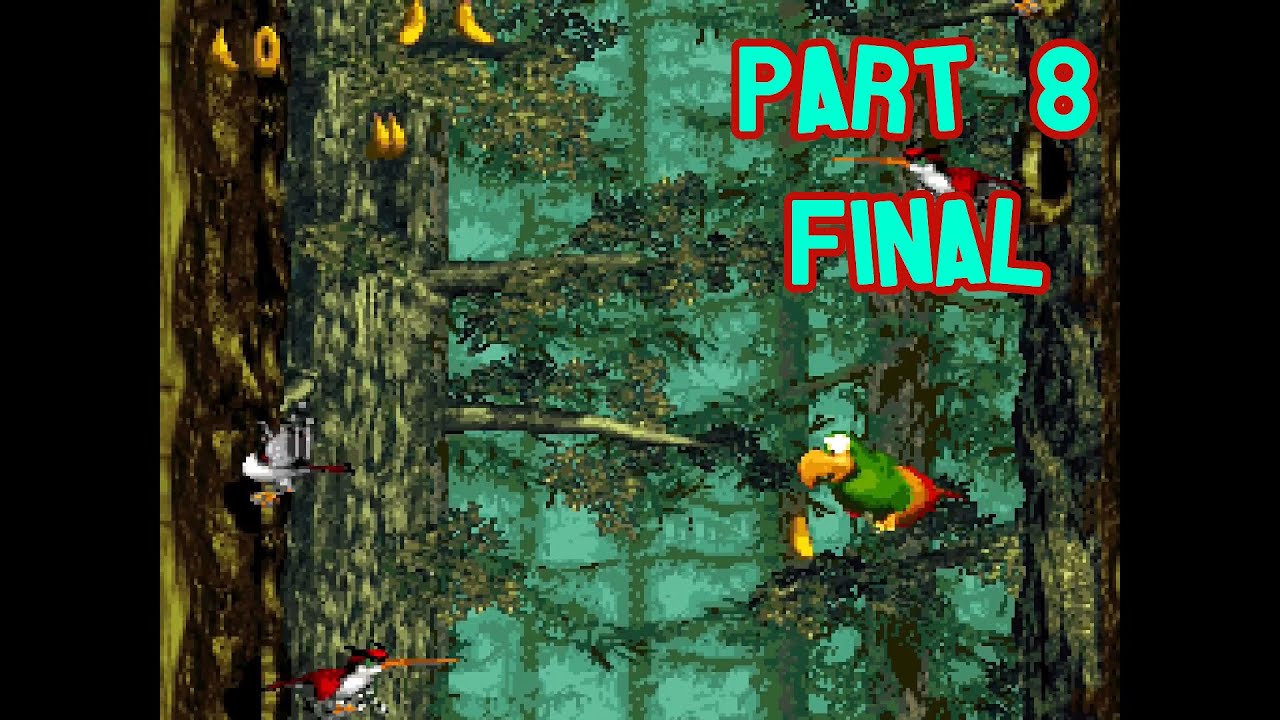 Attack of The Birds - Donkey Kong Country 3 Kiddy's Hero Mode Rom Hack ...
