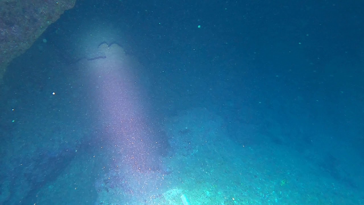 Lava tube scuba dive north shore Oahu - YouTube