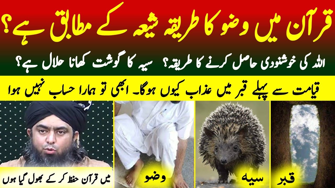 Qur'an mein WUZU ka Tarika SHIA Wala Theek | Rodents khana in Islam ...