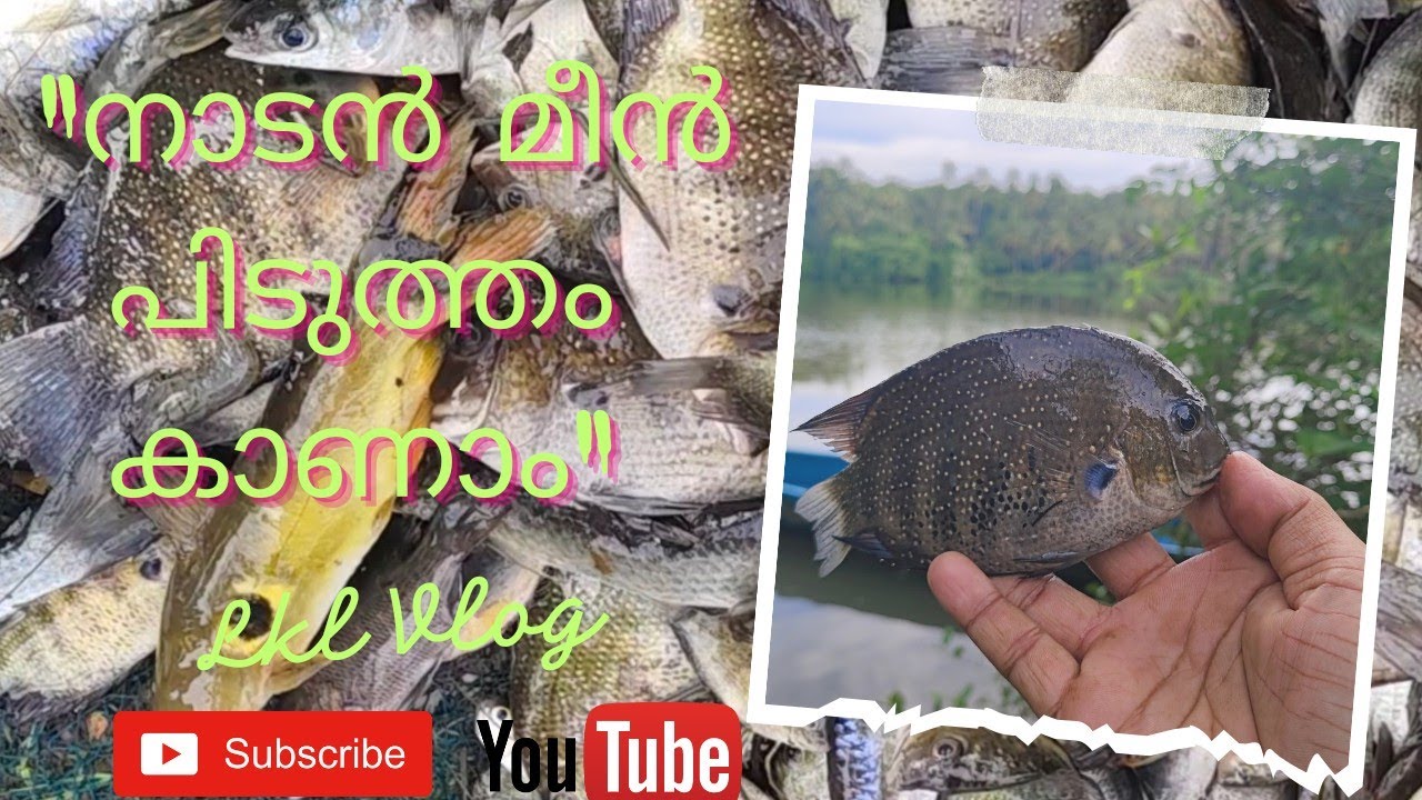 Kerala Village Fishing..Traditional kerala fishing. malayalam fishing ...