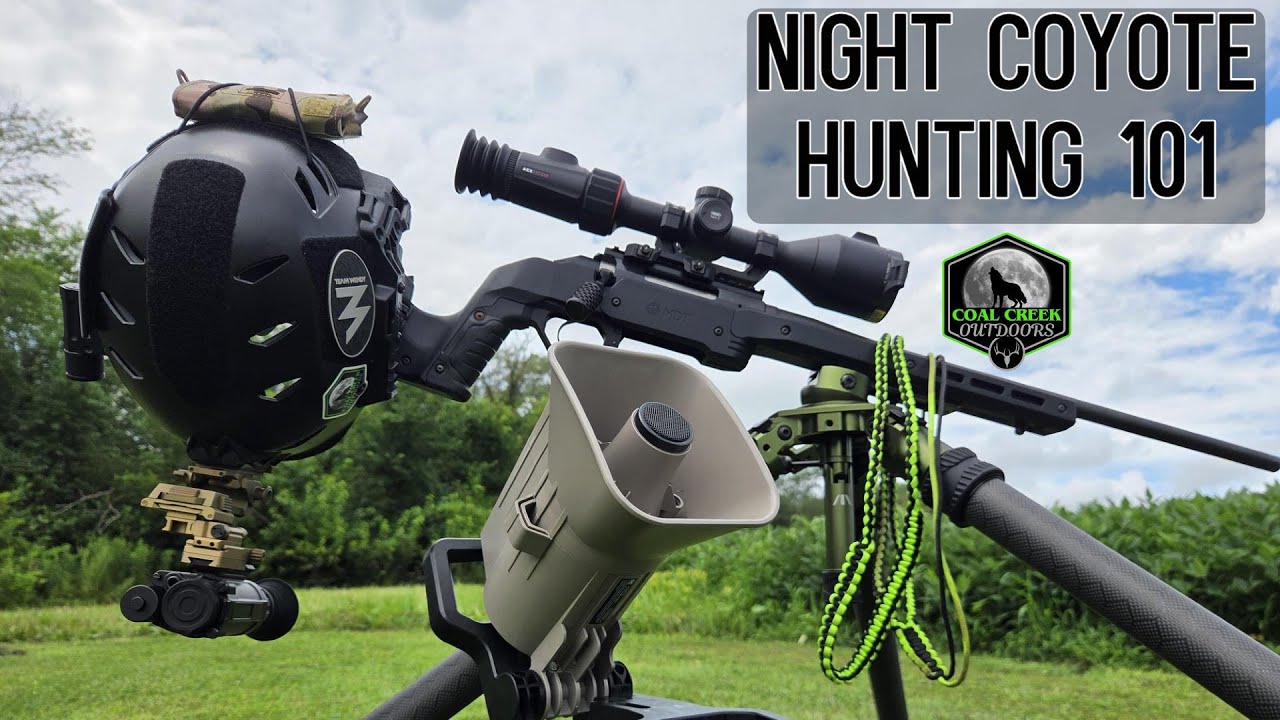 Night Coyote Hunting 101 - Tips for Success!! - YouTube
