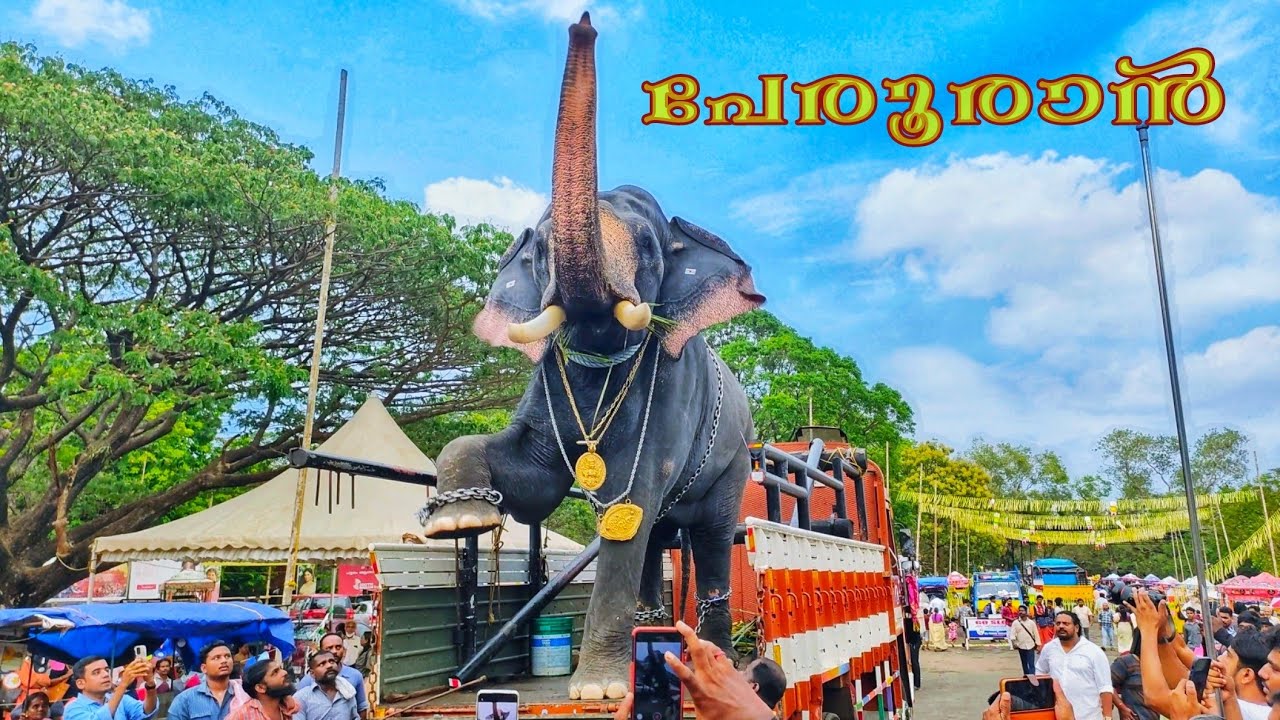 പേരൂർ ശിവൻ്റെ എൻട്രി, വടക്കുംനാഥൻ Peroor Sivan @Vadakkumnathan Temple ...