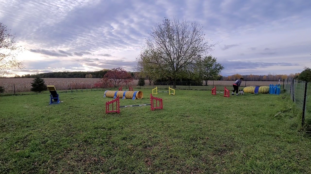 UKI Home Agility Week 28 (60×40): Snooker - YouTube