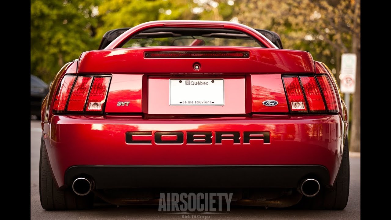 FORD MUSTANG -||- THE TERMINATOR (Fourth Generetion Edition) - YouTube