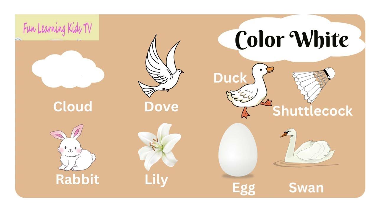 Things That Are White Learning Colors For Kids Basic English things-that-are-white-learning-colors-for-kids-basic-english