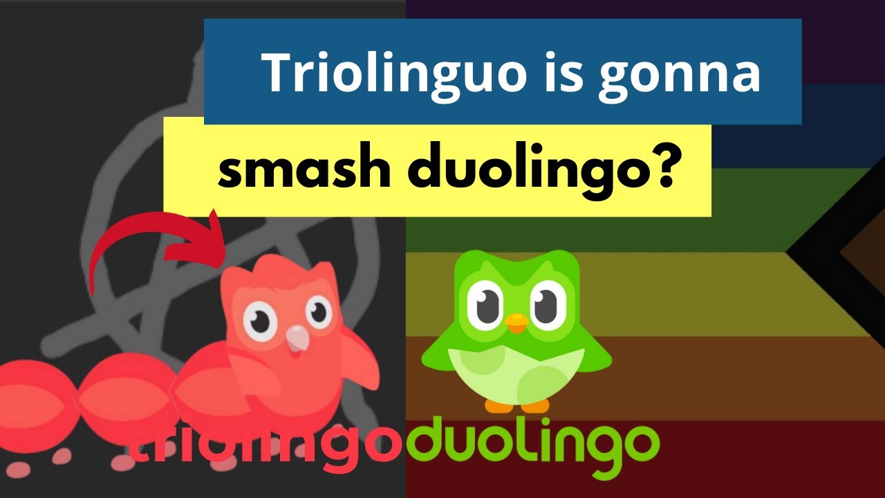Triolingo is gonna smash duolingo? (the queer bird) - YouTube