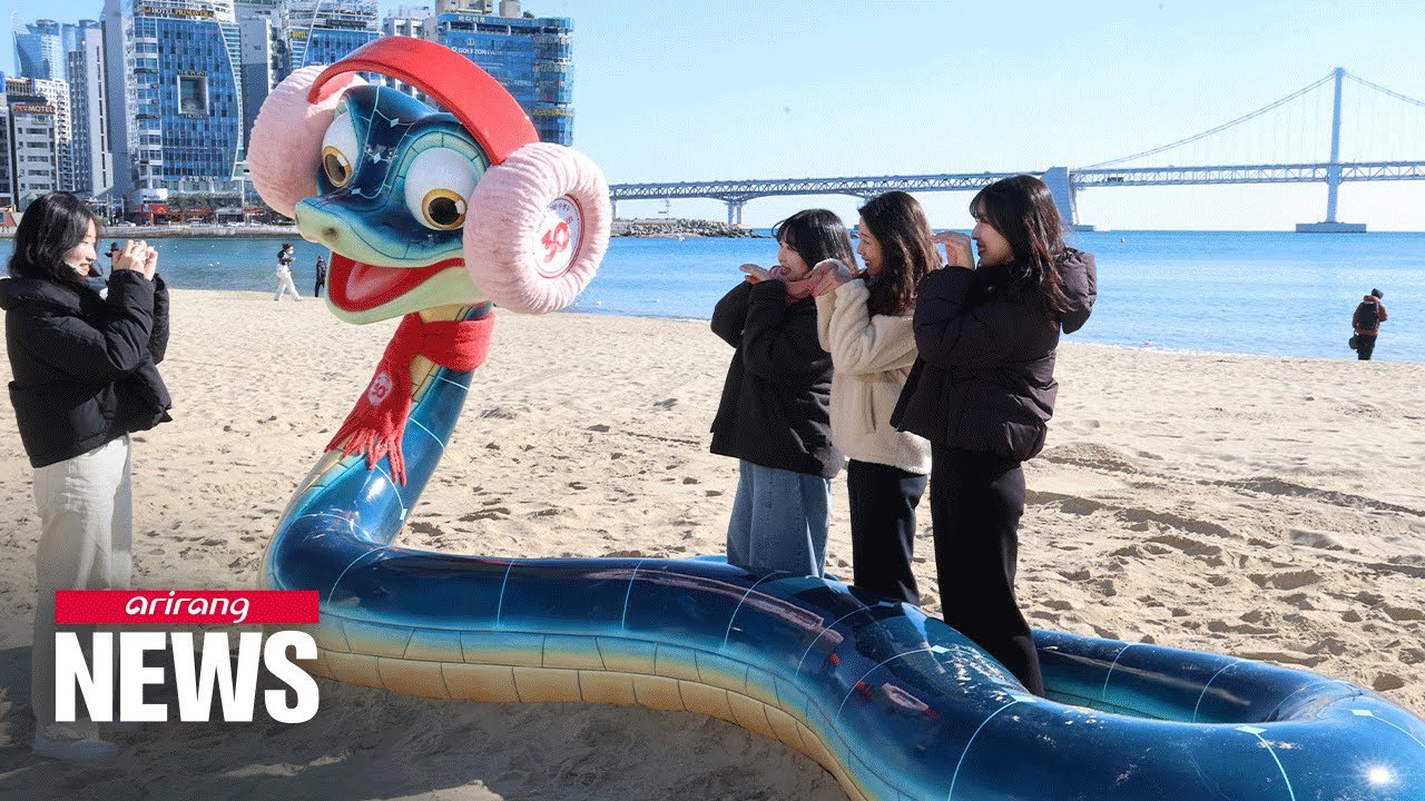 Slithering into 2025: The Year of the Blue Snake and S. Korea's New ...