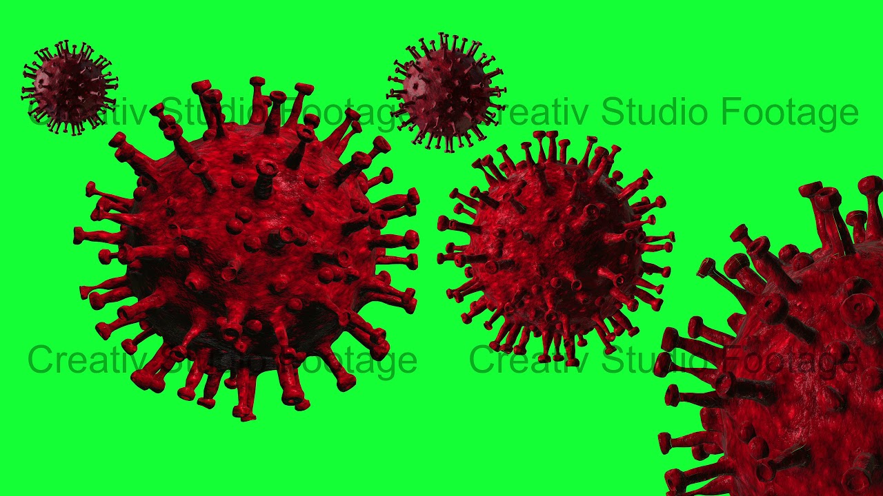 Animation of red viruses on a green screen. - YouTube