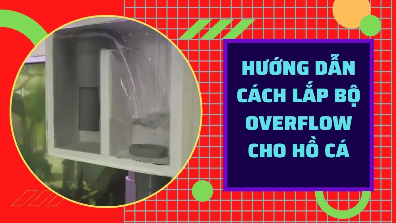 HƯỚNG ĐẪN CÁCH LẮP ĐẶT BỘ OVERFLOW CHO HỒ CÁ CẢNH VÀ NHỮNG ĐIỀU CẦN LƯU ...