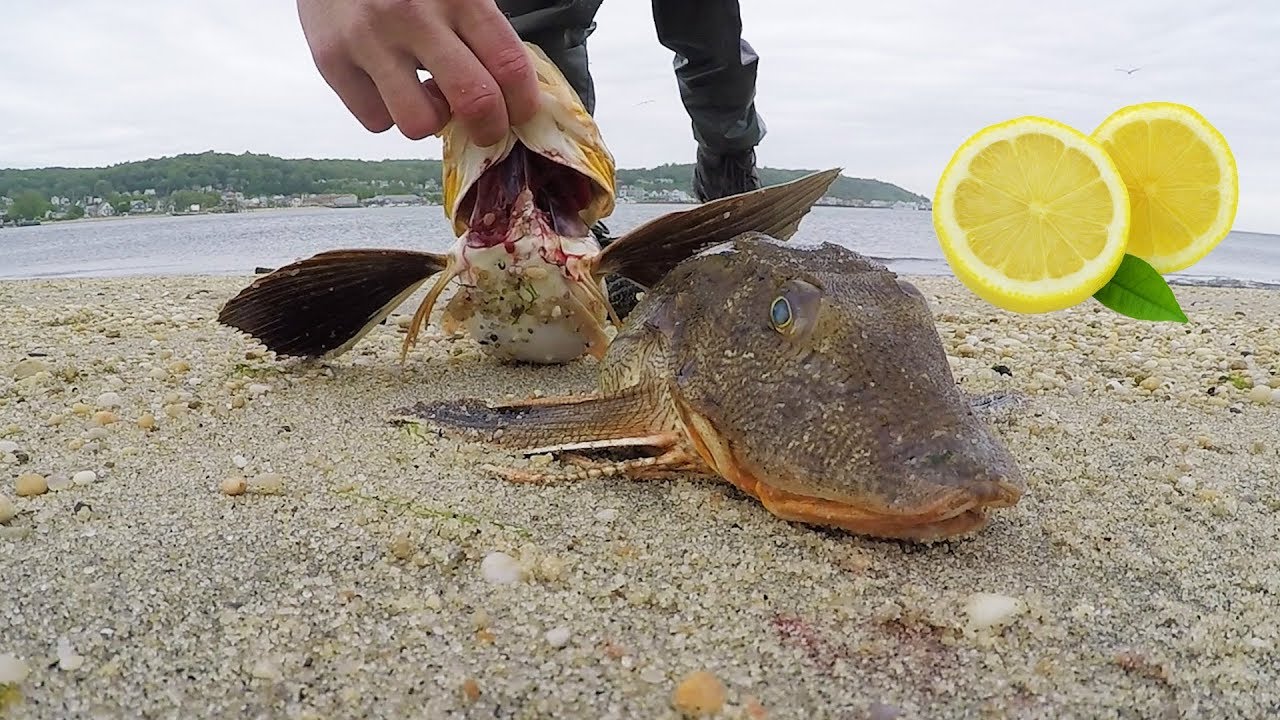 When Fishing Gives You Lemons - YouTube