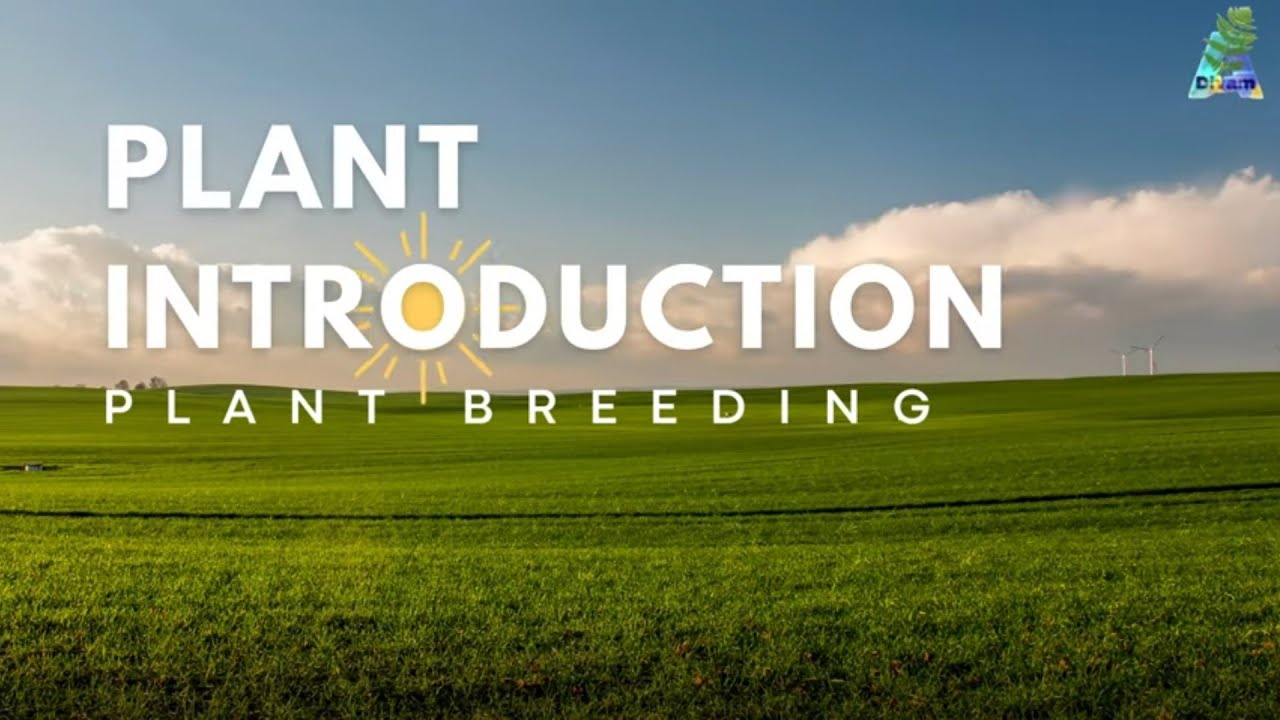 Plant Introduction #plantbreeding #agriculture - YouTube
