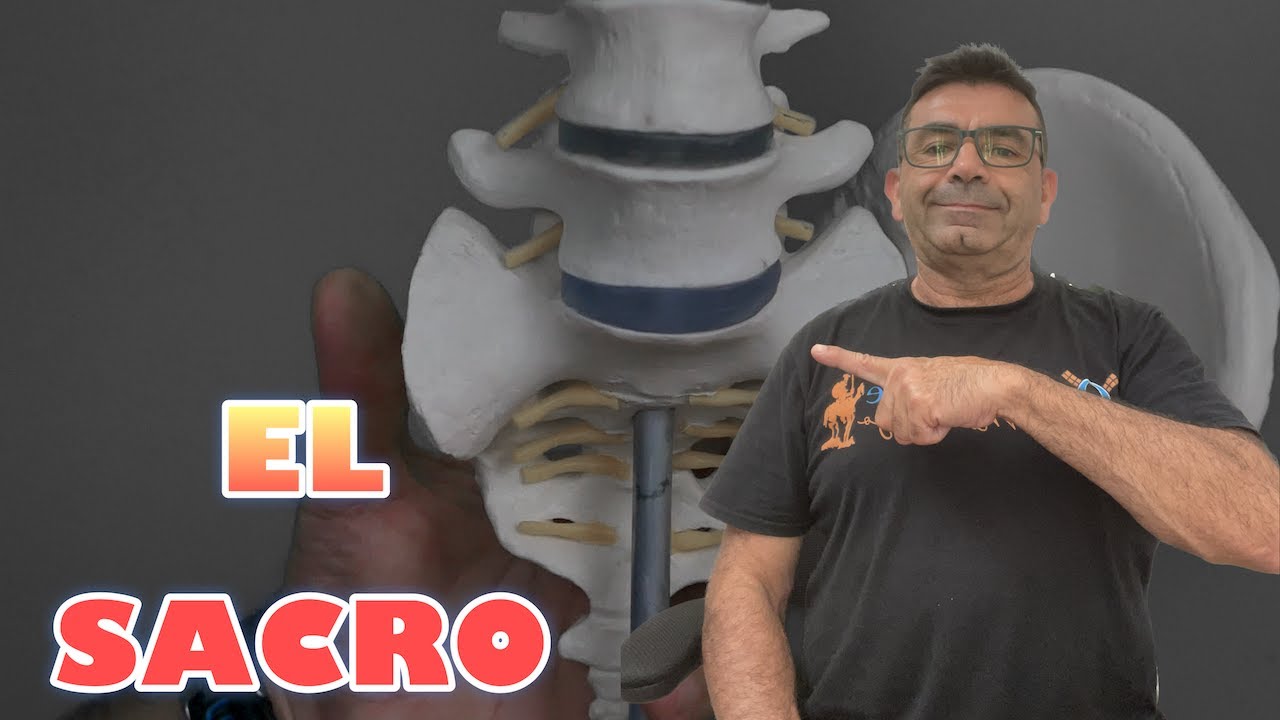 Cómo movilizar el SACRO. - YouTube