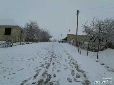 Əlibəyli Kəndi (Tovuz)