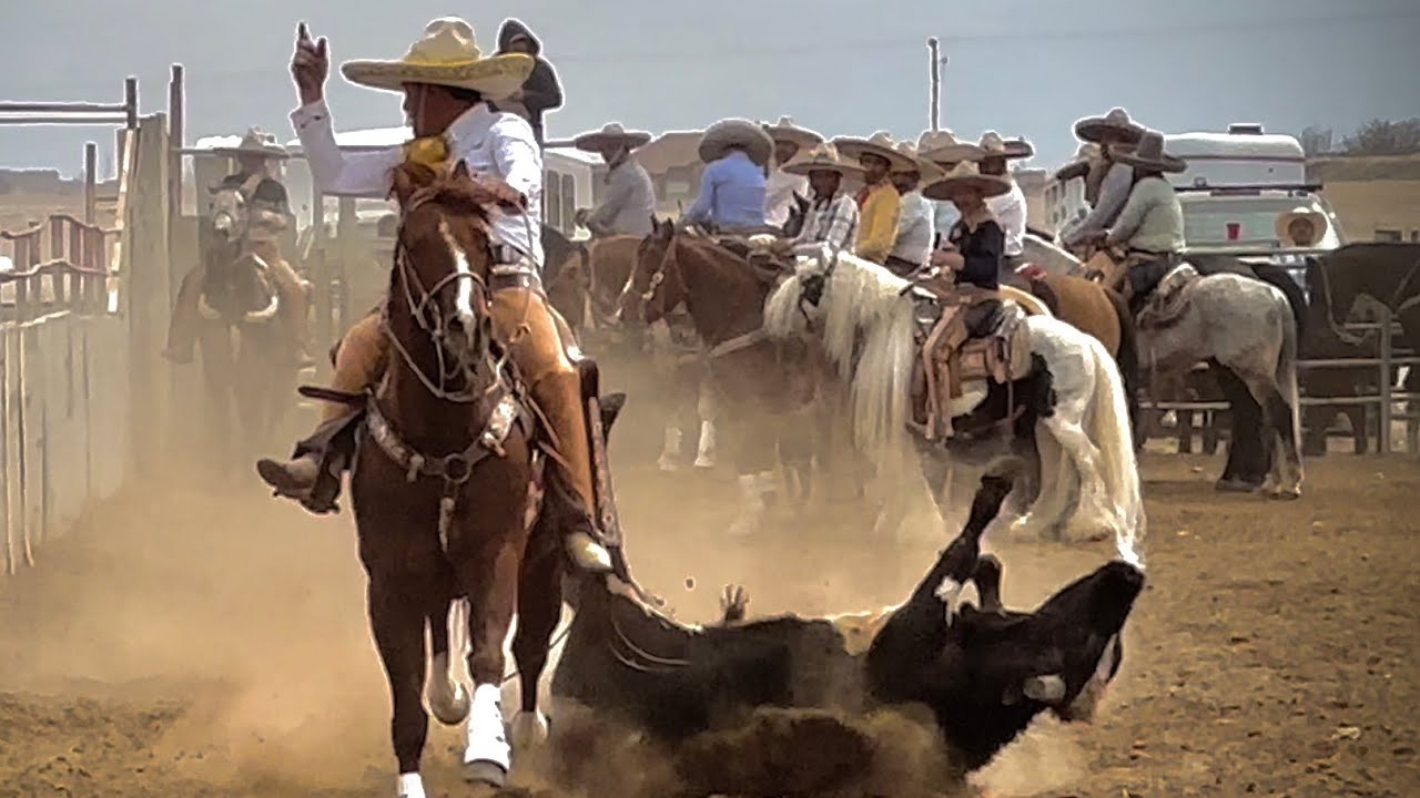 🇲🇽Mexican Rodeo outside Denver, Colorado🇺🇸 Sábado De Gloria - April 8 ...